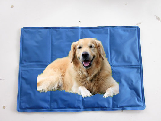 Blue Green Pink Puppy Cooling Gel Mat Summer Self-cooling Pad for Cats Pet Dog