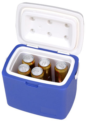 OEM Portable Cooling Bin for fishing camping hunting vaccine seafood juice meat milk beef Frozen blue Ice Box