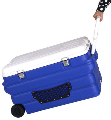 90L Portable Vaccine Container  Storage Cooler Cold Chain Insulated Box Red/blue mini car cooler box Supplier