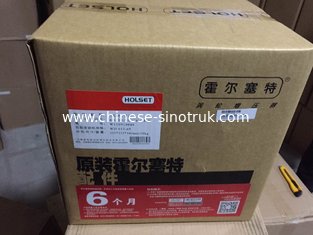 China TURBOCHARGER VG1560118229  for HOWO TRUCK SPARE  PARTS HOLSET BRAND HX50 supplier