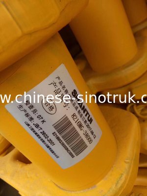 Construction machinery track chain  /sdlg/xcmg/liugong/SHANTUI HIGHT QUALITY HOT SALE supplier