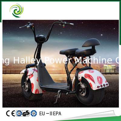 HLX3 Halley Scooter 2 Wheel Electric City Urban Electric Mobility