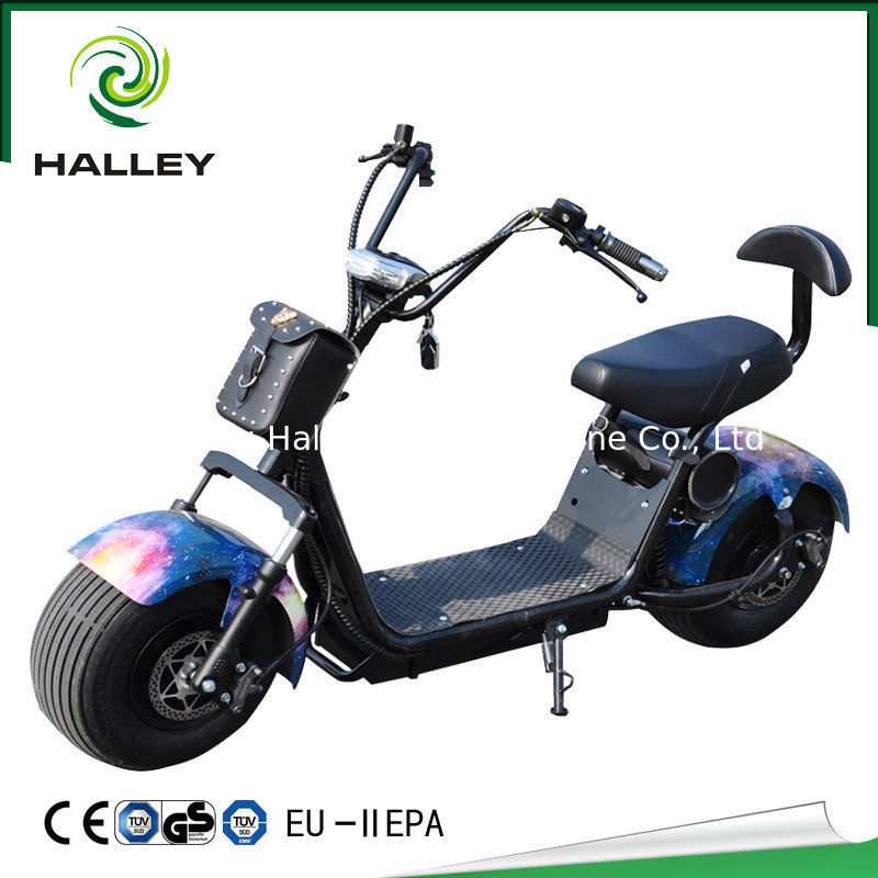 HLX5 Halley Scooter Soflow Halley Electric Scooter With Fashion Bag And Hydraulic Absorber