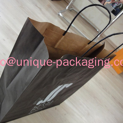 Cheap Price Twisted Handled Paper Shopping Bag Custom Logo Print