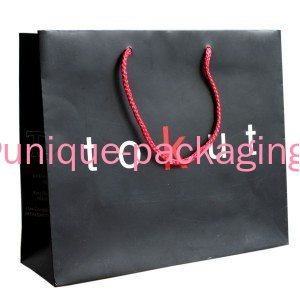 Shopping Mall Garment Carrier Bag Paper Shopping Bag with Handle Black Color Print