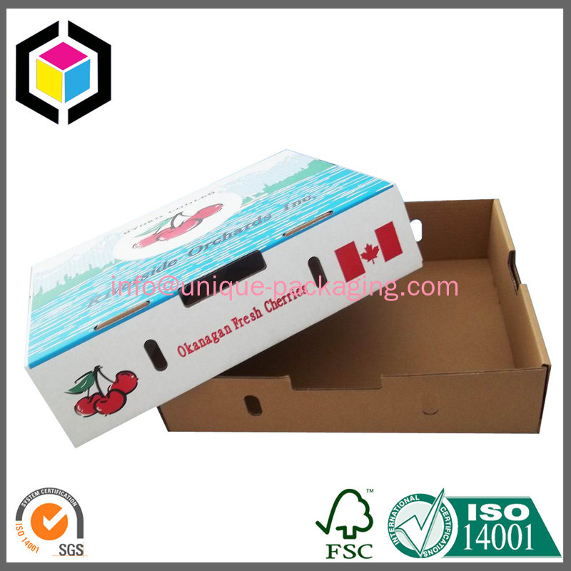 Lid and Base Custom Color Print Paper Corrugated Cardboard Box for Fruit Cherry