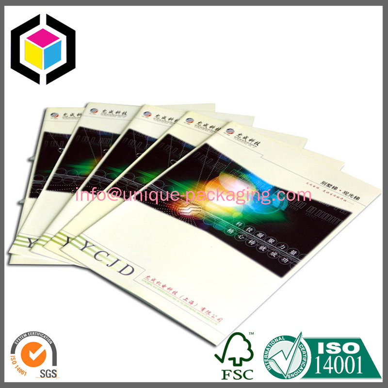 Professional Factory Custom CMYK Full Color Printing Brochure Catalog Flyer