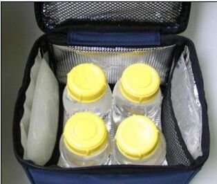 sell thermal ice packs,insulated ice packs,breast milk cooler bag(SK-BD250 super cold pack)