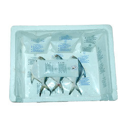 transportation ice pack, summer ice pack, reusable ice pack, chocolate ice pack,fish ice pack