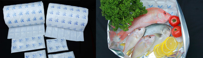 fast food delivery ice pack, summer ice pack, reusable ice pack, chocolate ice pack,fish ice pack