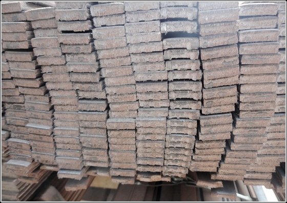 Q420C Special Forged Hot Rolled Mild Steel Flat Bar for Steel Structure / Punch Mould