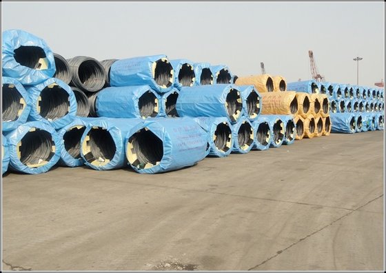 5.5 - 13 mm Diameter SWRH27 High Carbon Steel Wire Rod for Rope / Construction