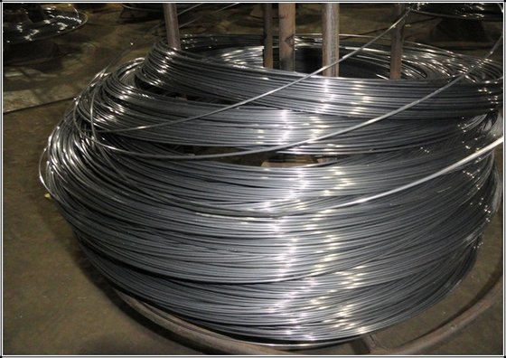 Smooth Surface SWRH77B Carbon Steel Mild Steel Wire Rod Coil High Tensile Strength