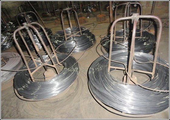Smooth Surface SWRH77B Carbon Steel Mild Steel Wire Rod Coil High Tensile Strength