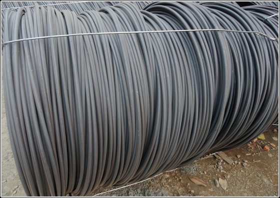 ASTM SWRCH6A Mild Steel Wire Rod with Galvanized Surface Treatment