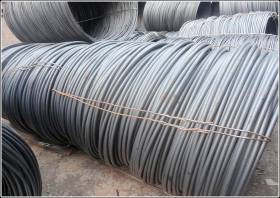 ASTM SWRCH6A Mild Steel Wire Rod with Galvanized Surface Treatment