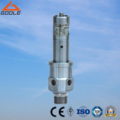 AQ-20 Type China Stainless Steel Air compressor threaded safety valve