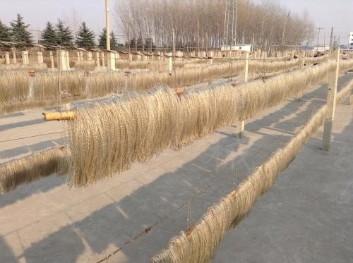 CHINA SWEET POTATO VERMICELLI CO.,LTD