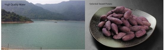 CHINA SWEET POTATO VERMICELLI CO.,LTD
