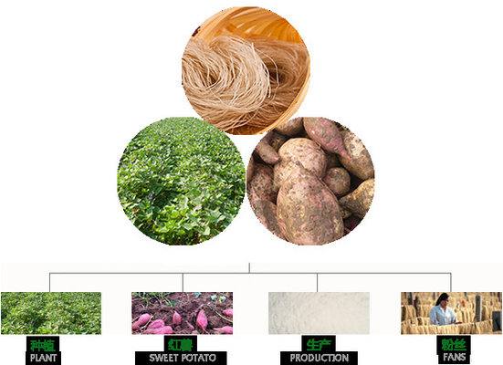 CHINA SWEET POTATO VERMICELLI CO.,LTD
