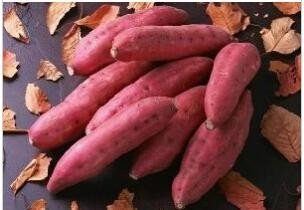China flour vermicelli with high performance  fitness healthy handmade sweet potato ve