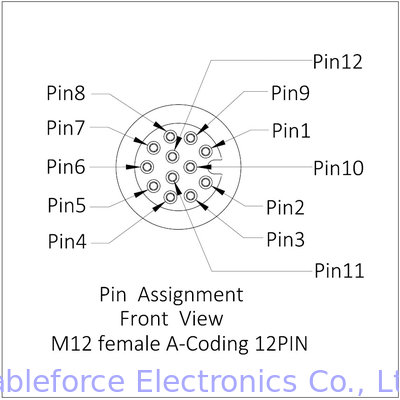 IP67 / IP68 M12 Plug Connector 30V 1.5A With Passed 48 Salt Spray Test