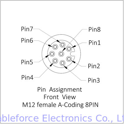 Motors M12 8 Pin Female Connector Rear Mounting Brass With Gold Plated Contacts