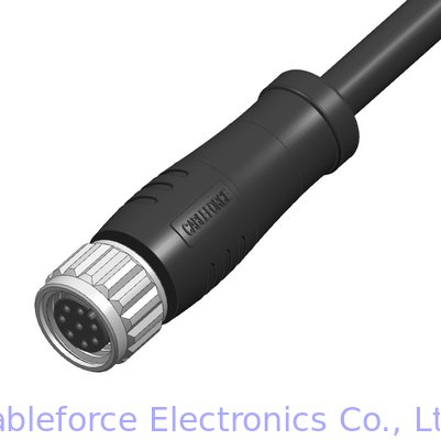 M8 Cable Plug Female 8 Poles A Coding Connector Molded with PUR Cable
