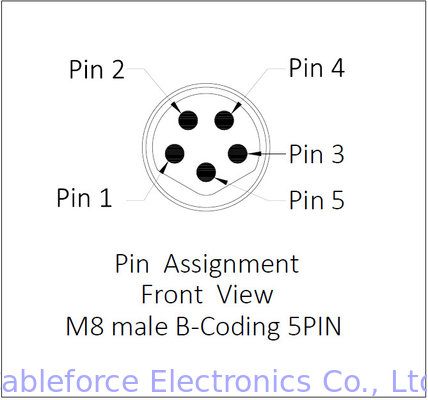 M8 Cable Plug 5 Poles B Coding Male Connector Molded with PUR Cable