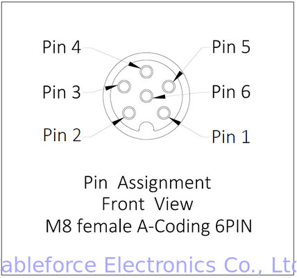 M8 Cable Plug Female 6 Poles A Coding Connector Molded with PUR Cable