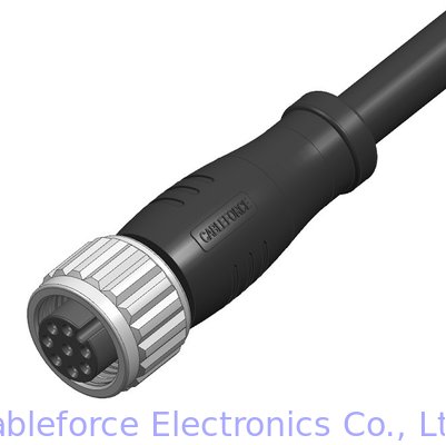 Overmolded Cable Assemblies M12 8 Pin Female Connector A - Coding UV Resistant