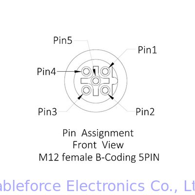 la destra circolare dei connettori di cavo di B-codifica femminile di 60V 4A M12 5pin si è inclinata modellato