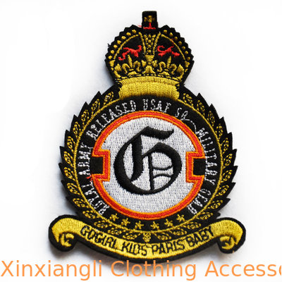 Colorful  And Washable  Clothing Embroidered Patches For Clothing Iron On Backing