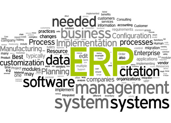 China Professional Cloud Based ERP Software Enterprise Resource Planning , ERP System Cloud supplier