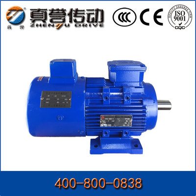 Low Noise 5hp 3 Phase Electric Motor  220v - 660v , High Rpm Electric Motors