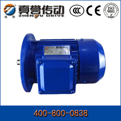 Miniature IEC High Rpm Induction Electric Motor 1HP 3 Phase Induction Motors S1