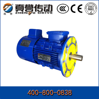 1HP 2HP 3HP Induction Ac Motor Single Phase 3 Phase Electric Motors IP44 / IP54