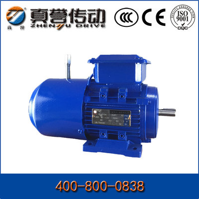 YEJ Series Small Induction Electric Motor 1hp 3hp Electric Vehicle Motor 315kW