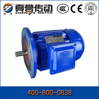 Custom 1 Phase 5hp Electrical Induction Motor With High Torque , Heavy Duty