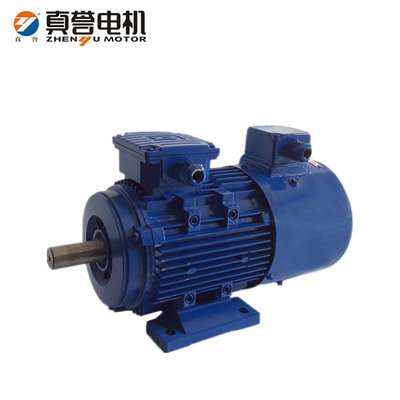 Lightweight Cast Iron Induction Electric Motor / High Efficiency Electric Motors