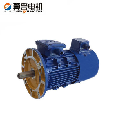 1HP 2HP 3HP Induction Ac Motor Single Phase 3 Phase Electric Motors IP44 / IP54