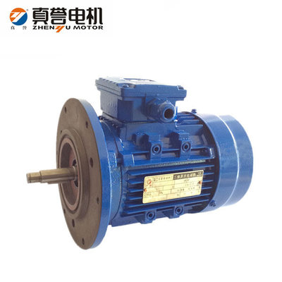 High Torque OEM Induction Electric Motor Three Phase With CCC CE , 220v - 660v
