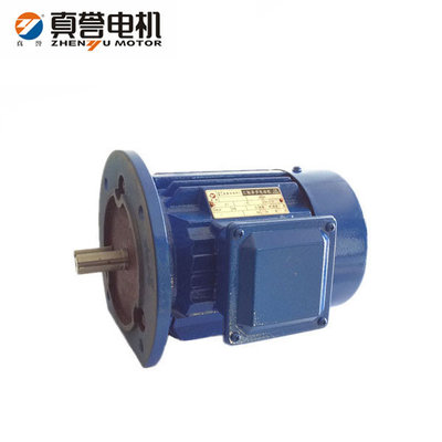 Miniature IEC High Rpm Induction Electric Motor 1HP 3 Phase Induction Motors S1