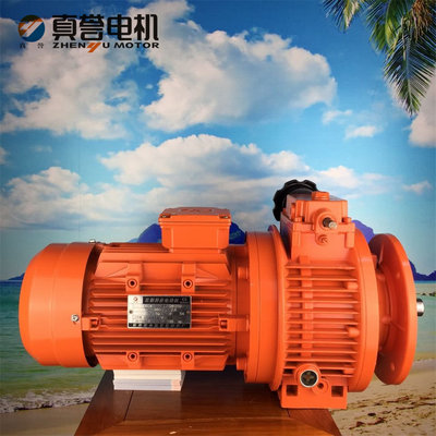 Food Device Stepless Mechanical Speed Variator With Planetary Gear Reducer