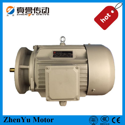 Cast Iron Aluminum Electrical Induction Motor IP54 / Induction AC Motor 50Hz / 60Hz