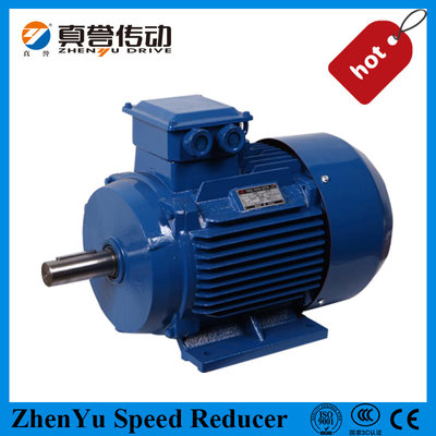 Custom 1 Phase 5hp Electrical Induction Motor With High Torque , Heavy Duty