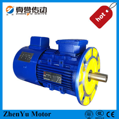 1HP 2HP 3HP Induction Ac Motor Single Phase 3 Phase Electric Motors IP44 / IP54