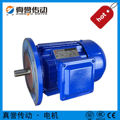 Custom 1 Phase 5hp Electrical Induction Motor With High Torque , Heavy Duty