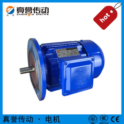 High Speed Lightweight Induction Electric Motor For Industrial And Automotive