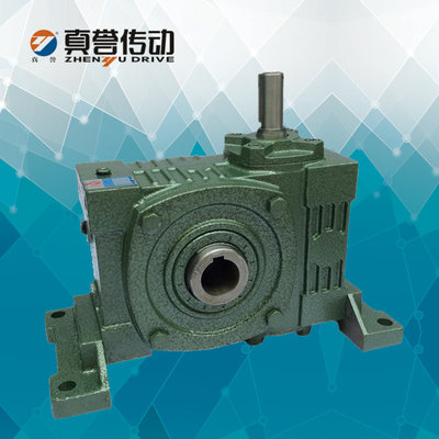 Industrial Gearbox Worm Gear Speed Reducer / Worm Reduction Gear Box